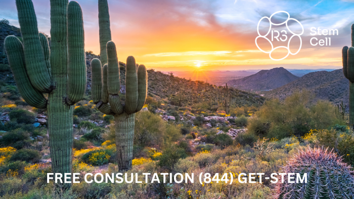 What is the Cost of Stem Cell Therapy in Phoenix, Scottsdale, Mesa AZ