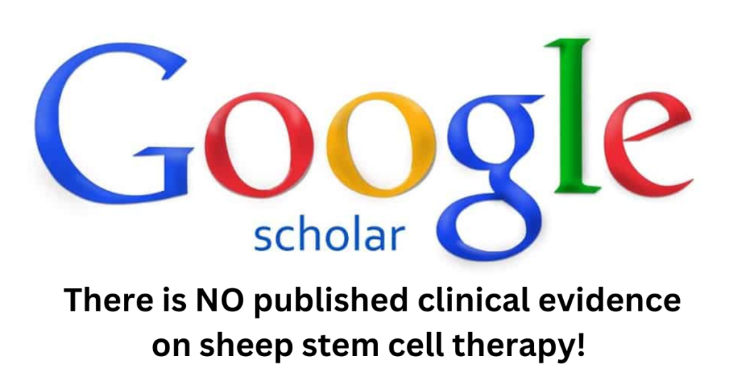What you need to know about Sheep Stem Cell Injections - R3 Stem Cell